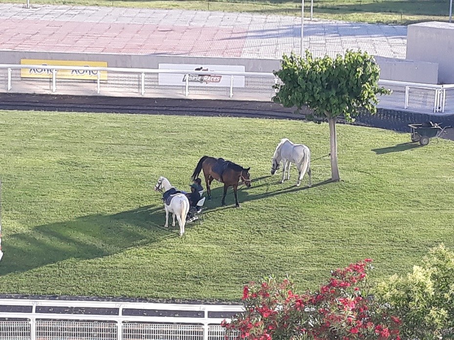 Markopoulo Park: Έξι δυνατές κούρσες που υπόσχονται συναρπαστικό θέαμα