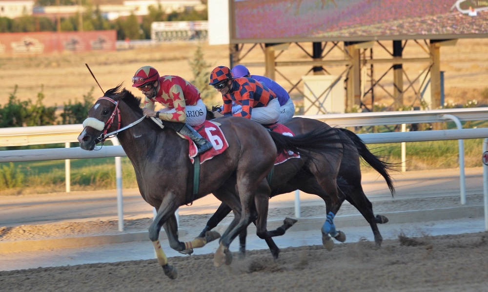 Markopoulo Park: Επτά κούρσες με 48 ίππους που υπόσχονται δυνατές ...