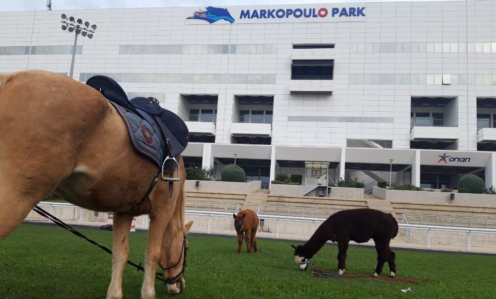 Τρόπαιο Πηλίου και τζακ ποτ στο ΣΚΟΡ 6 στο Markopoulo Park