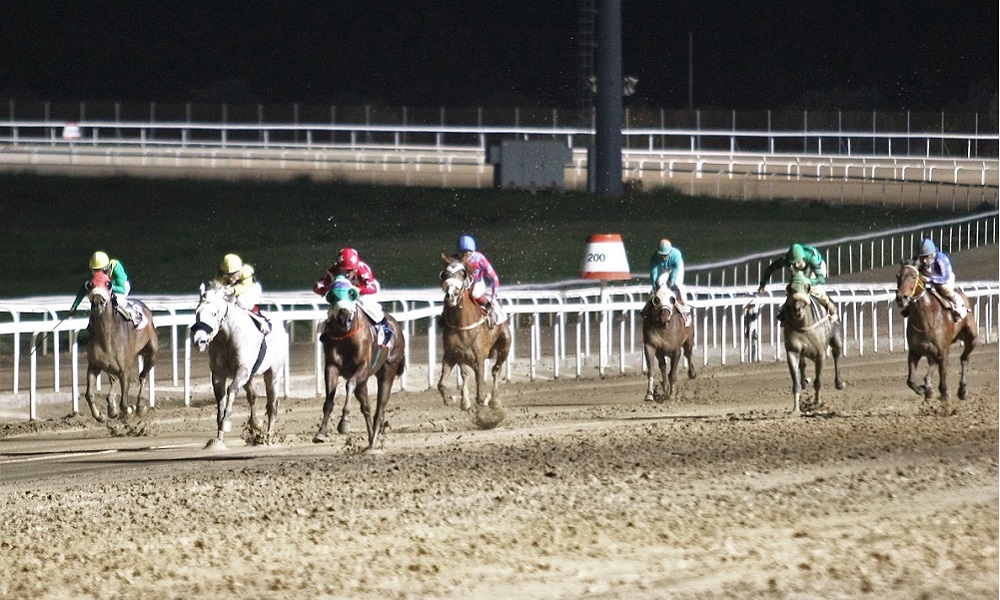 Markopoulo Park: Έπαθλα 25.000 ευρώ και 28 κορυφαίοι ίπποι στα Winter ...