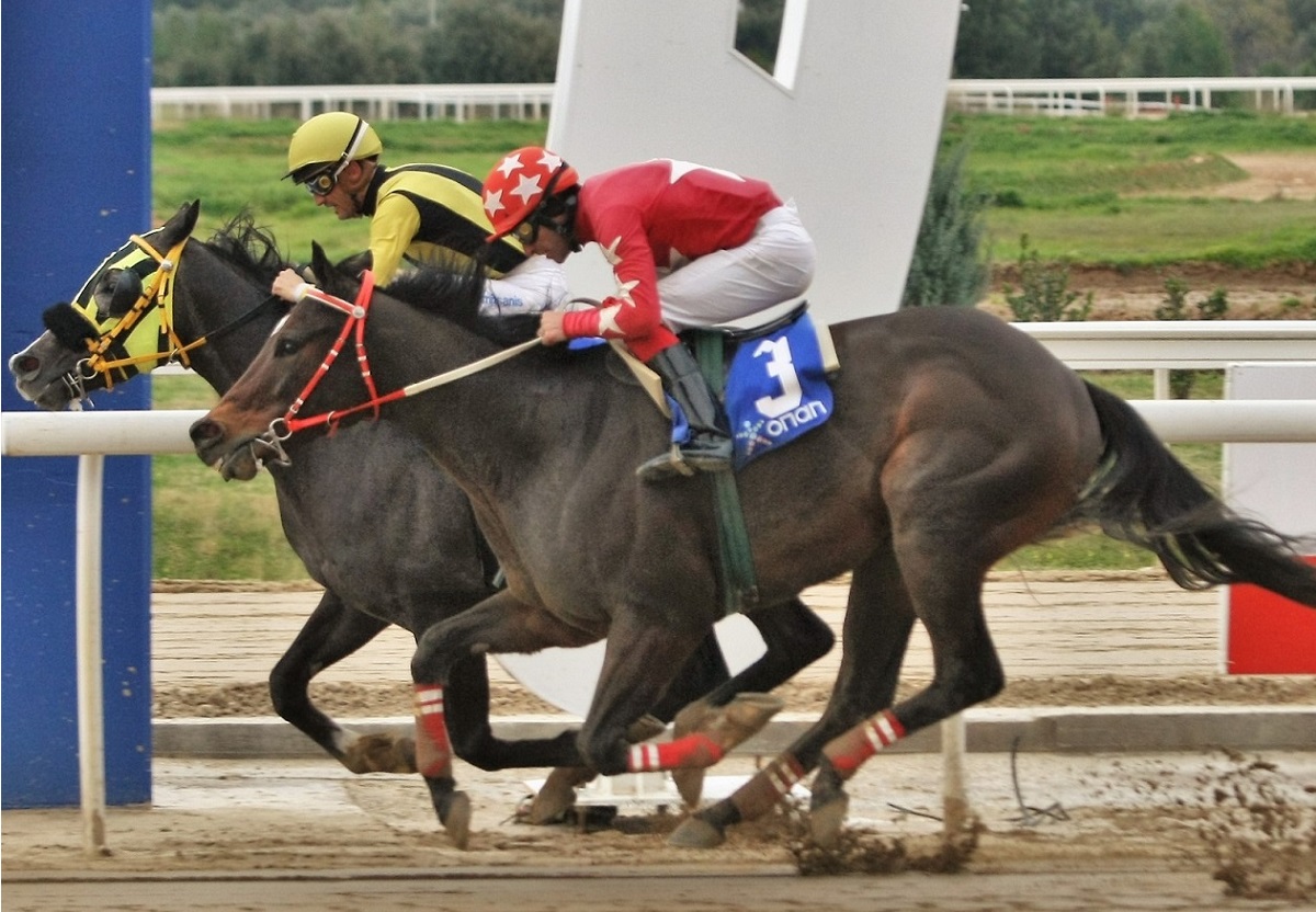 Markopoulo Park: Σημαντικά κέρδη για 15 νικητές του ΣΚΟΡ 6 στην πρώτη ...