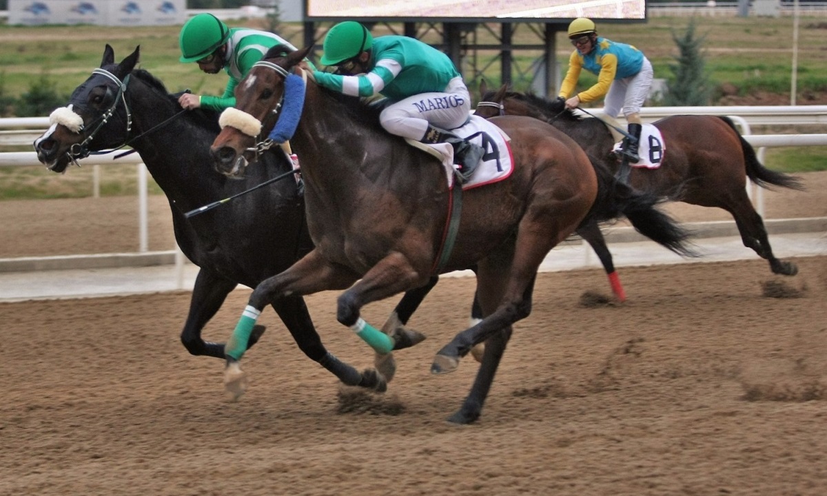 Markopoulo Park: Εννέα δυνατές κούρσες με πολλές εκπλήξεις και τζακ ποτ ...