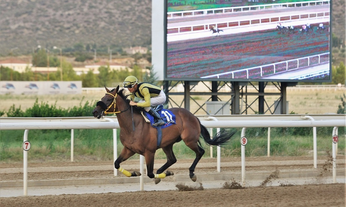 Ο ΧΑΡΣΓΟΥΕΛ μεγάλος νικητής του Κριτηρίου Τριετών στο Markopoulo Park