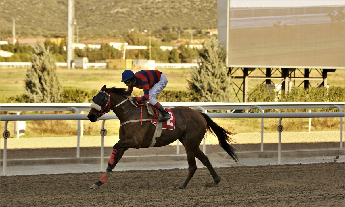 Επτά δυνατές ελληνικές ιπποδρομίες στο Markopoulo Park!